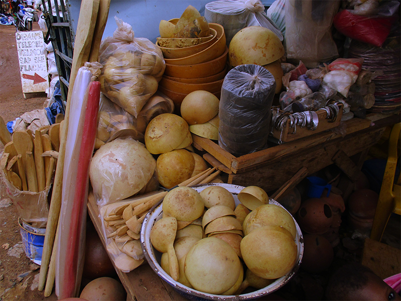 La calebasse africaine, un fruit aux multiples usages - Afrika Tiss